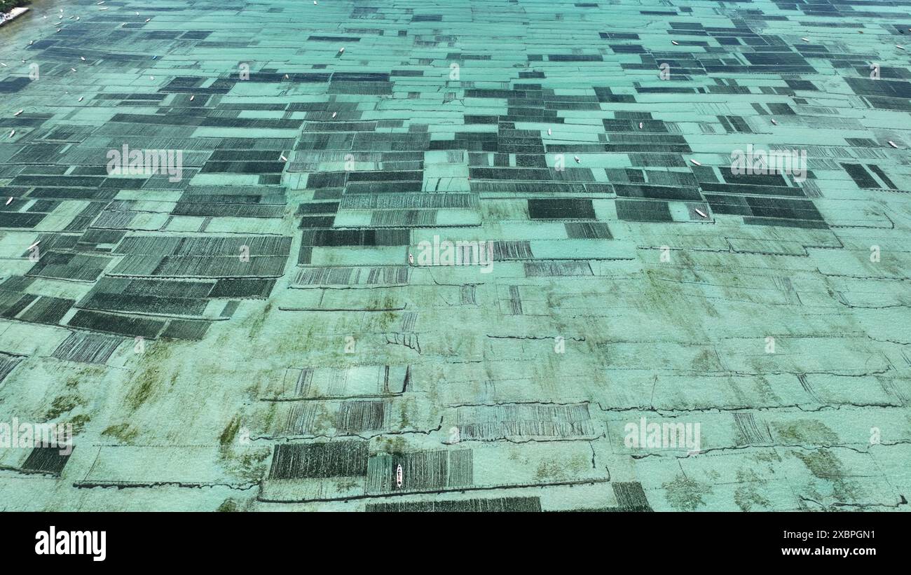 Beautiful Indonesian Seaweed Farm Close Up Stock Photo - Alamy