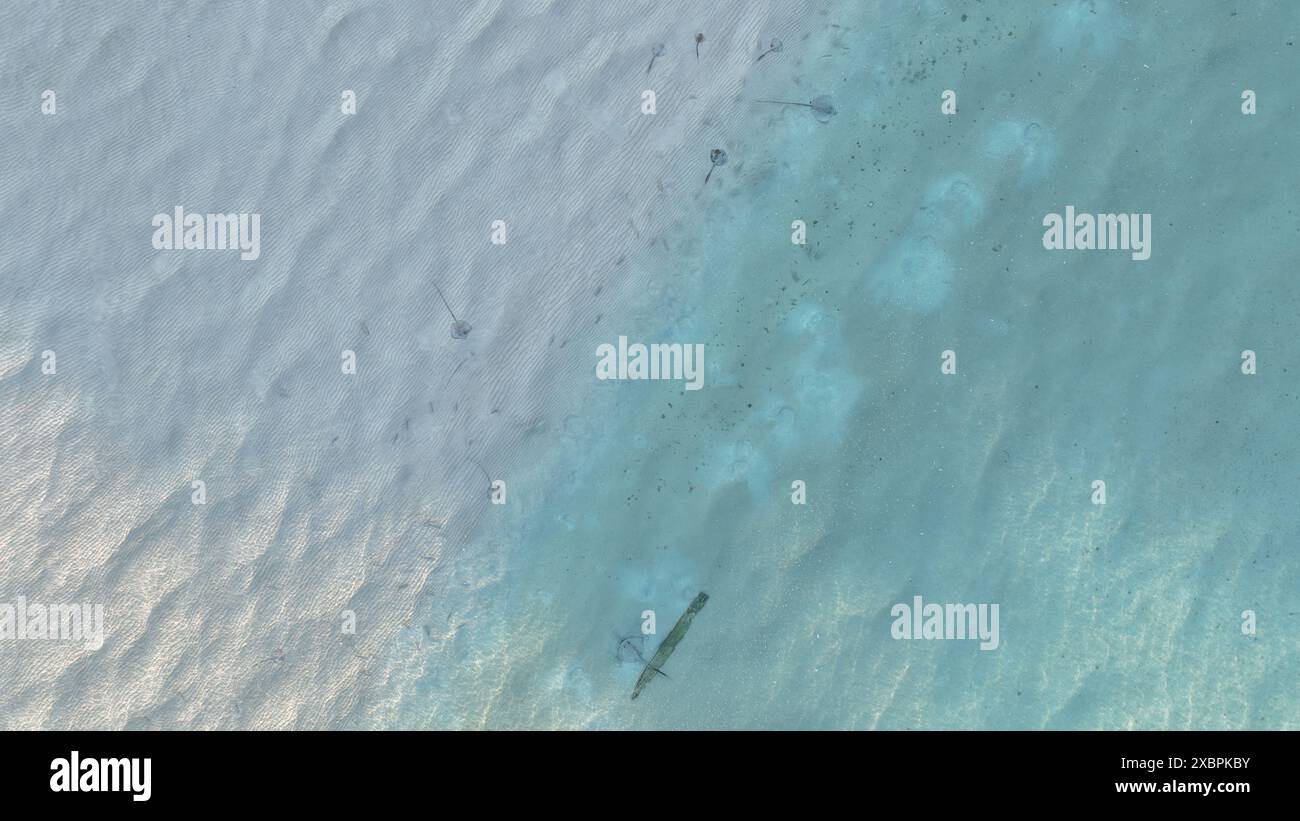 Aerial close up shot beach hi-res stock photography and images - Alamy