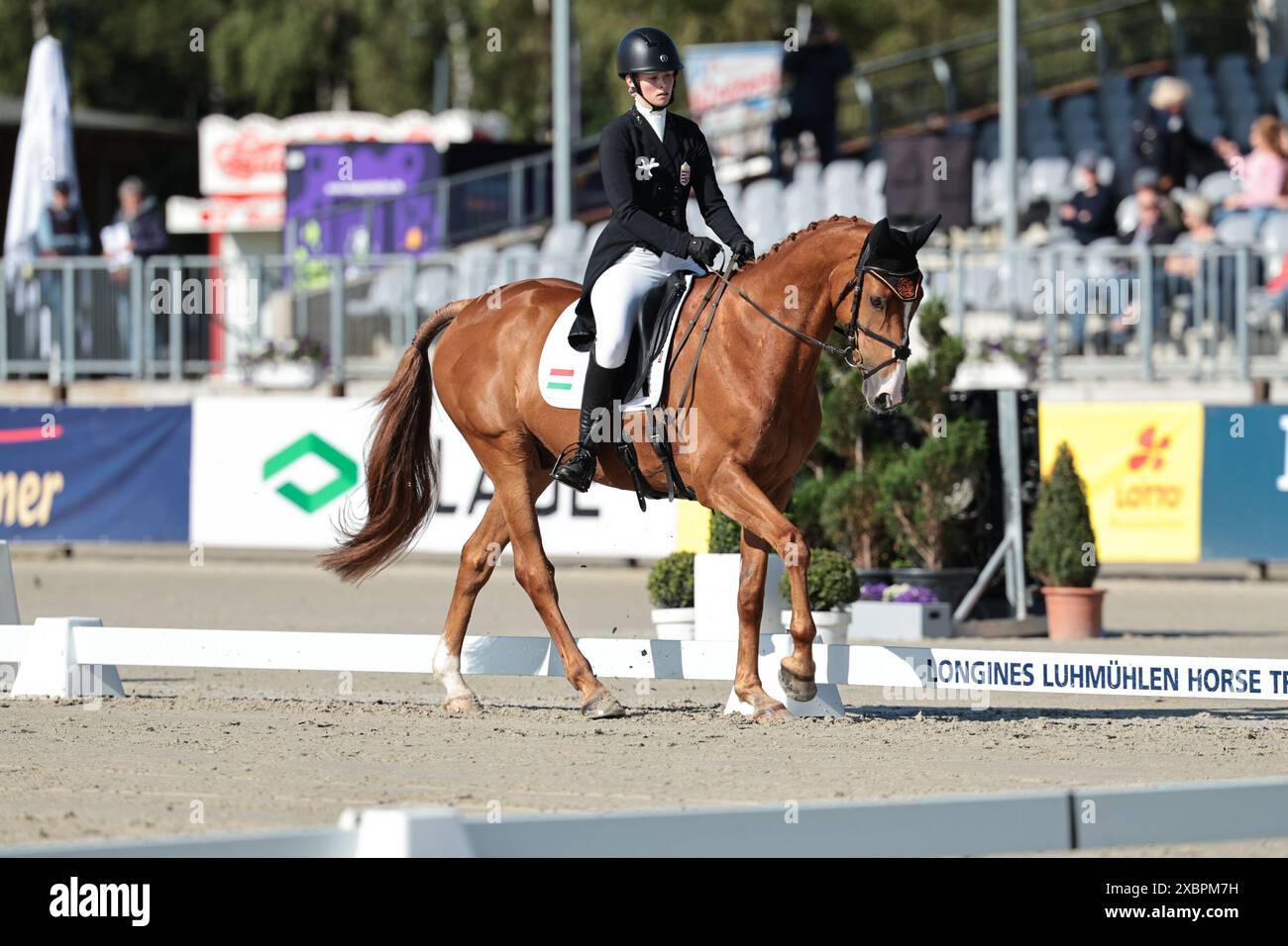 Noemi Viola Doerfer of Hungary with Piltown Harry during the CCI4 ...