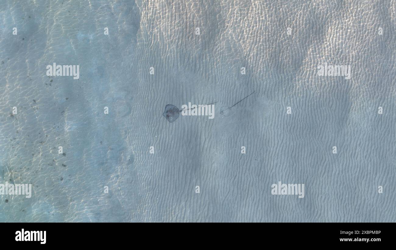 Aerial close up shot over hi-res stock photography and images - Alamy