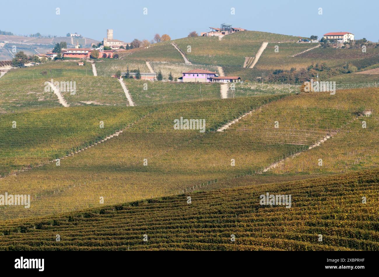 Italy, Piedmont, Langhe Region, Wineyard Barolo Area Stock Photo - Alamy