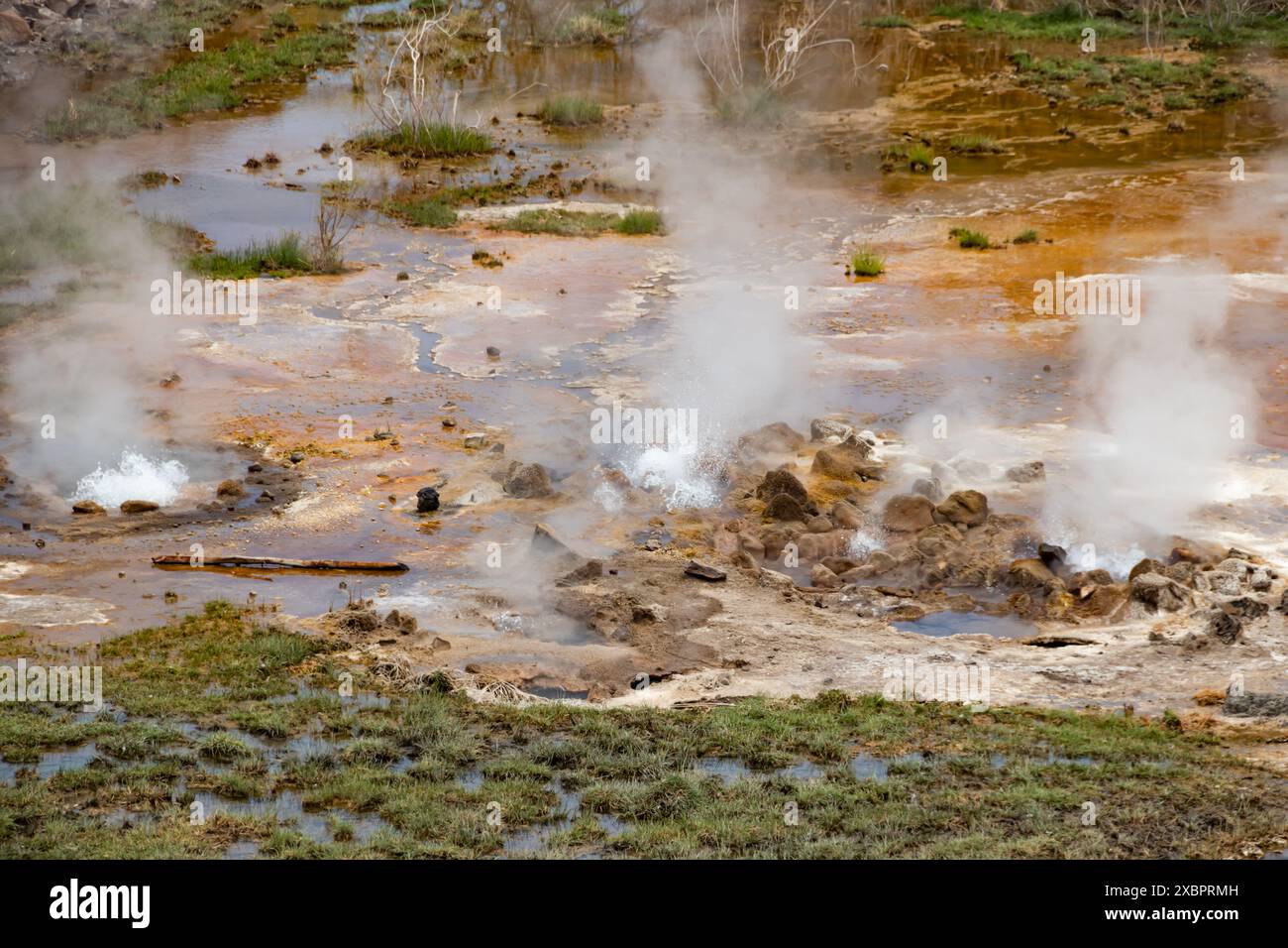 Alolabad geothermal area in Ethiopia with surreal landscape of colorful ...