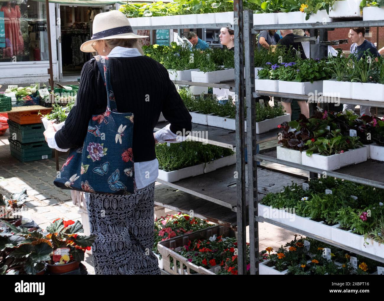 People shopping at outdoor market plant stall in Lewes, East Sussex ...