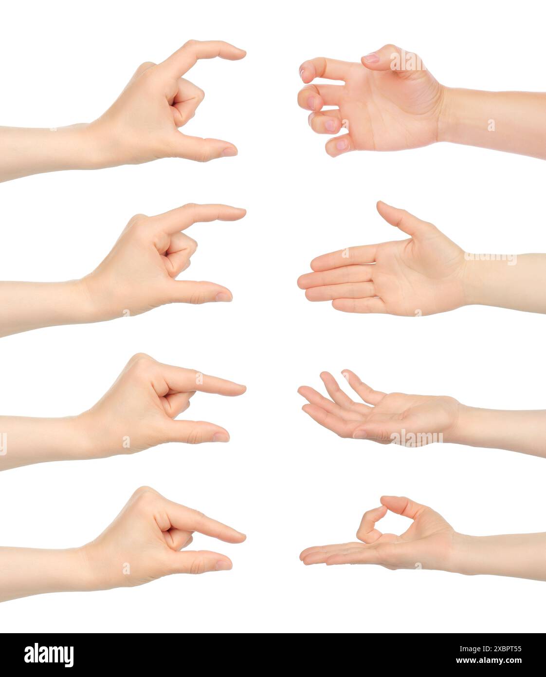 Set of Woman hands with stages of holding gestures, isolated on a white ...
