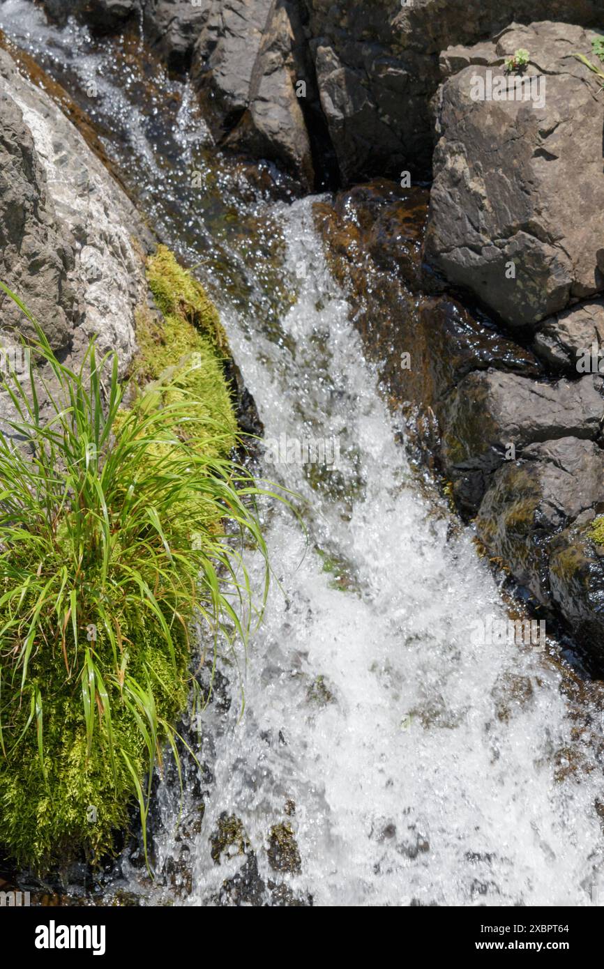 Refreshing stream cascade hi-res stock photography and images - Alamy