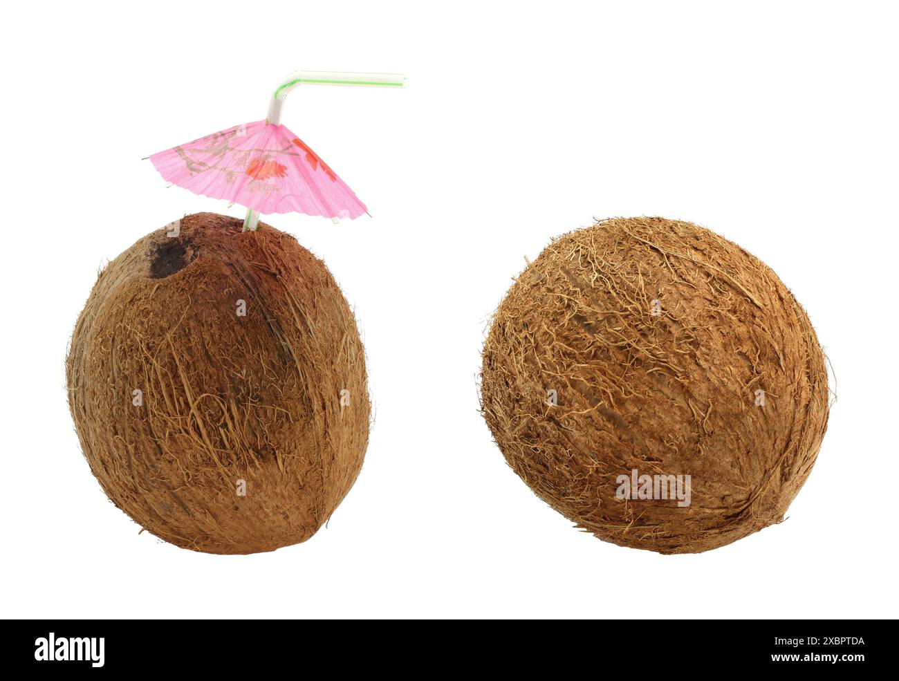 Set of Fresh Coconuts, isolated on a transparent background Stock Photo ...
