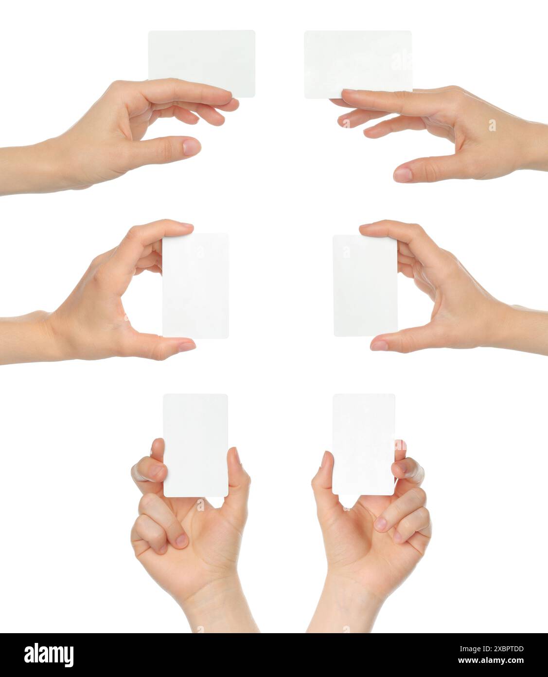 Set of Hands, which holding white blank card, isolated on a transparent ...