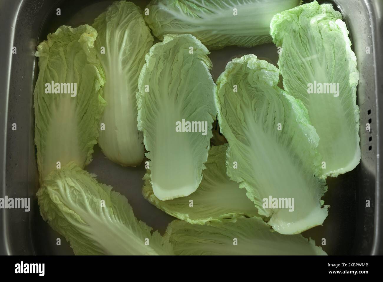 Chinese cabbage leaves in water inside sink, top view Stock Photo - Alamy