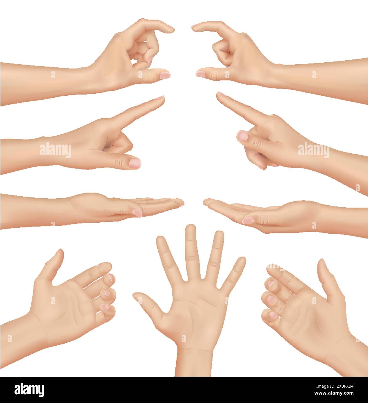 Set of Woman Hands on white background, realistic vector illustration ...