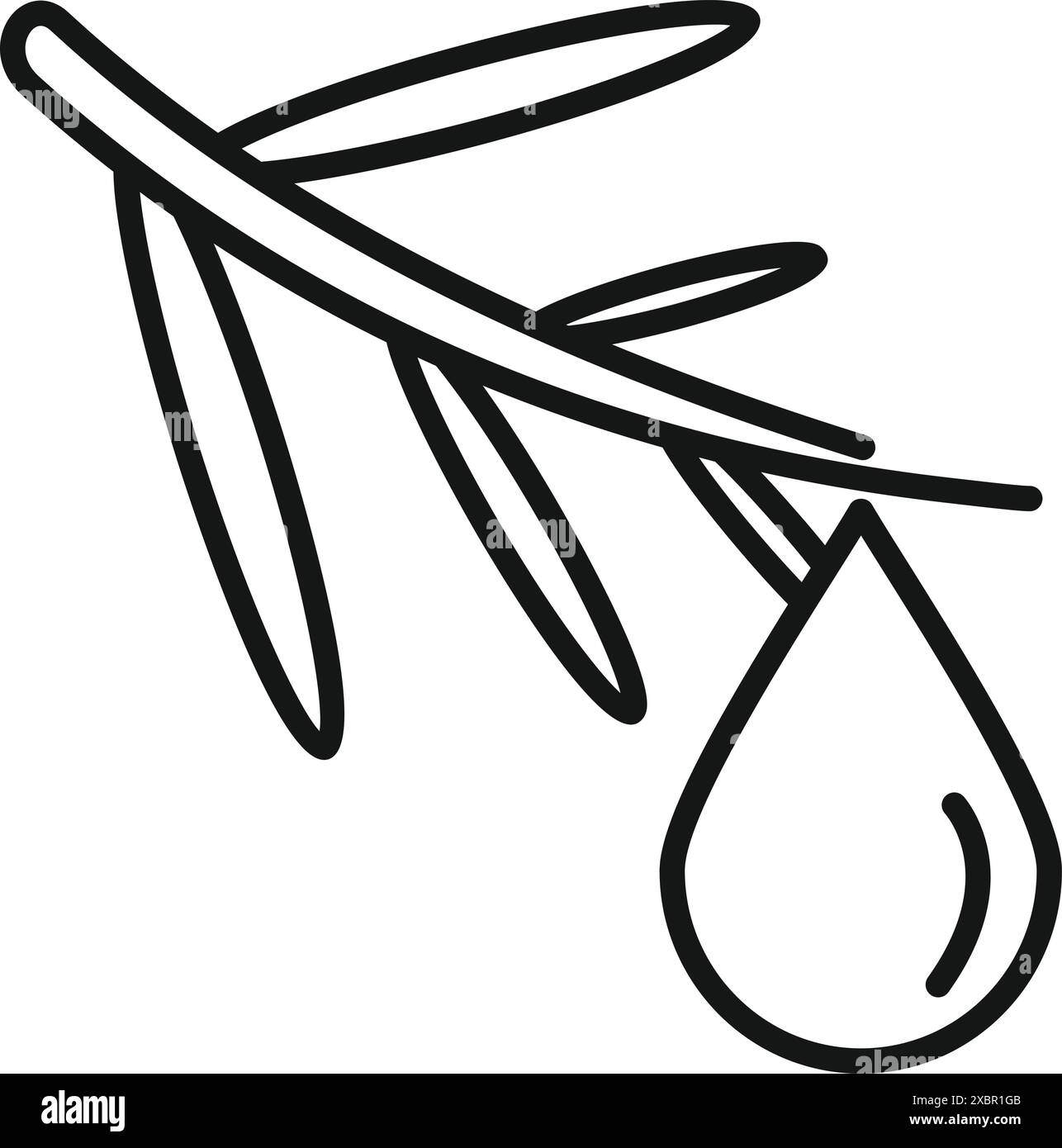 Olive branch is dripping a single drop of olive oil essence Stock ...