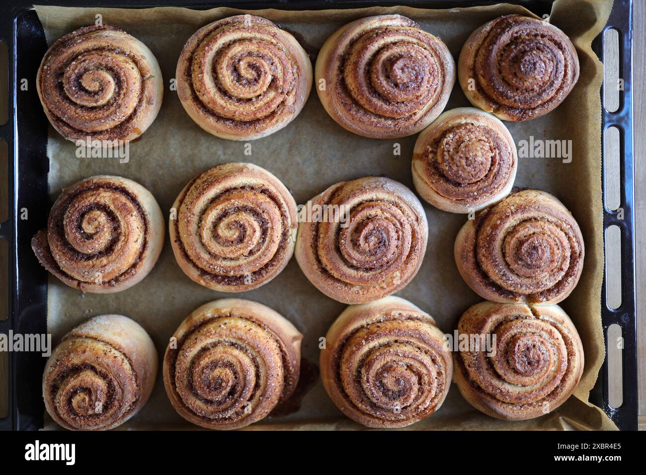 preparing homemade round cinnamon scrolls with sugar crystals in a ...