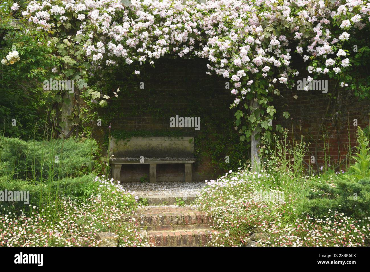 Rose arbour hi-res stock photography and images - Alamy