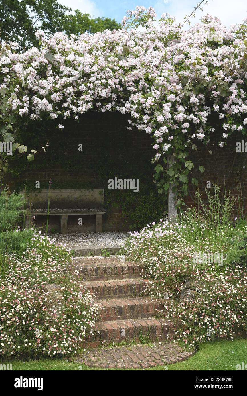 Rose arbour hi-res stock photography and images - Alamy