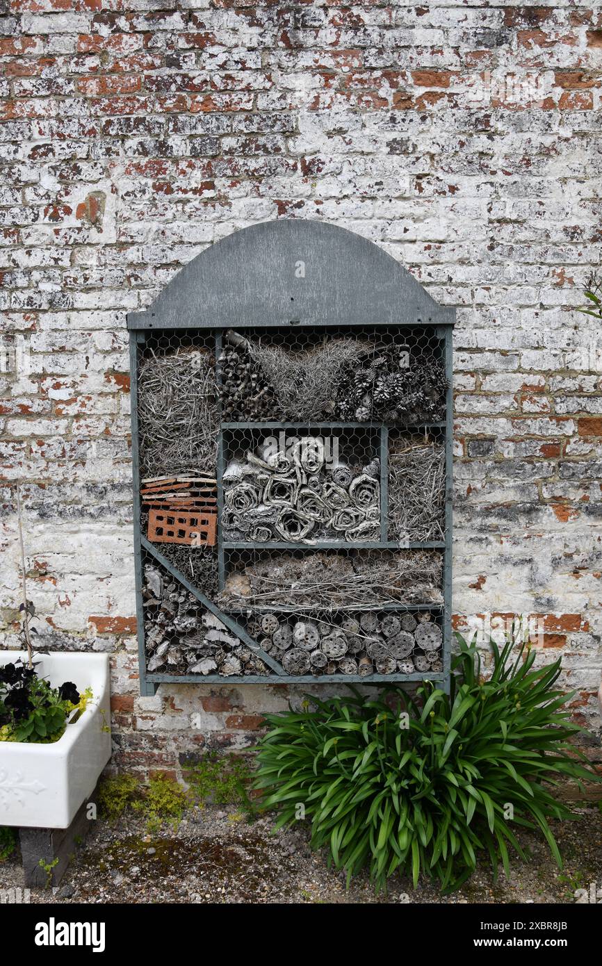 Attaching insect hotel to wall hi-res stock photography and images - Alamy