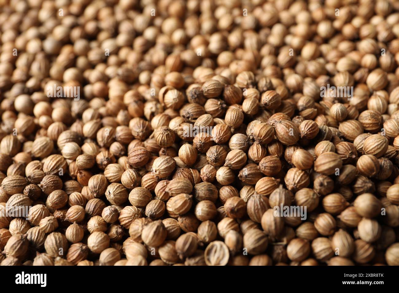 Many dried coriander seeds as background, closeup Stock Photo - Alamy