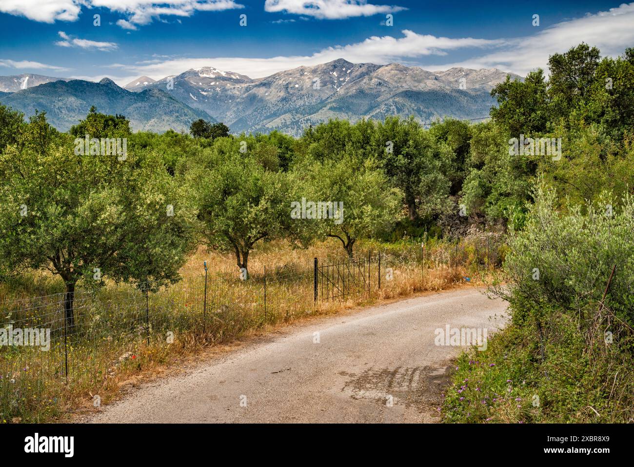 Lefka Ori mountains, orchards, view in spring from road near village of ...
