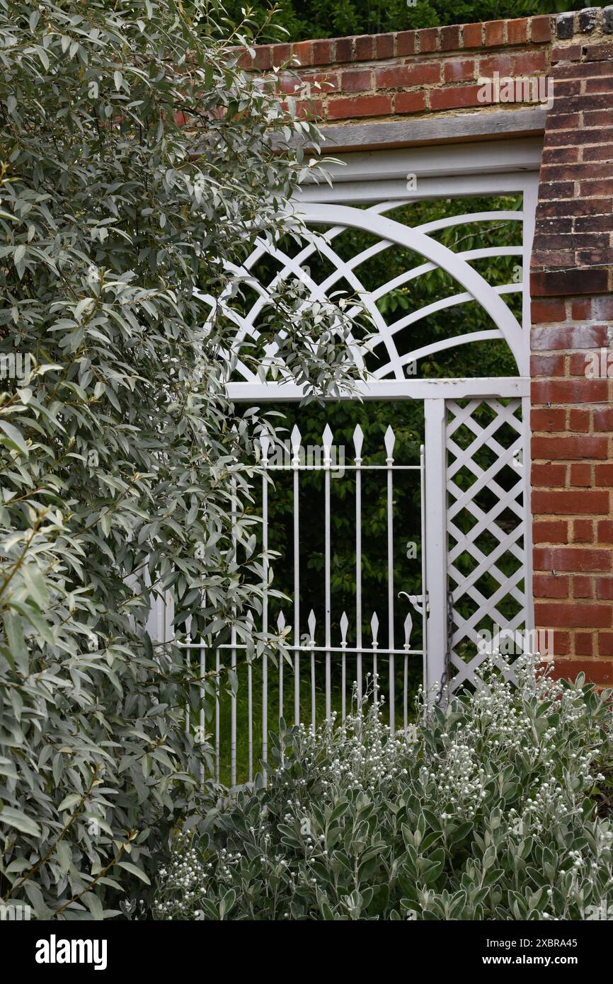 Silver foliage shrubs by the gate hi-res stock photography and images ...