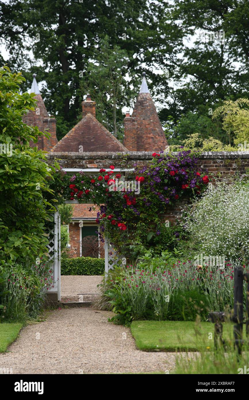 Red rose and clematis around the gate hi-res stock photography and ...