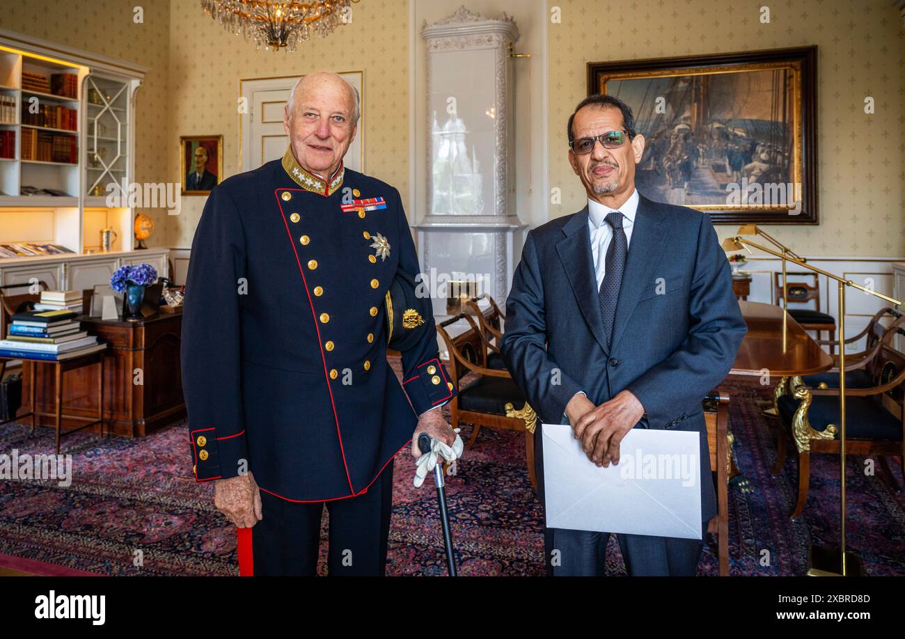 Oslo 20240613. Norwegian King Harald receives Mauritania's new ...