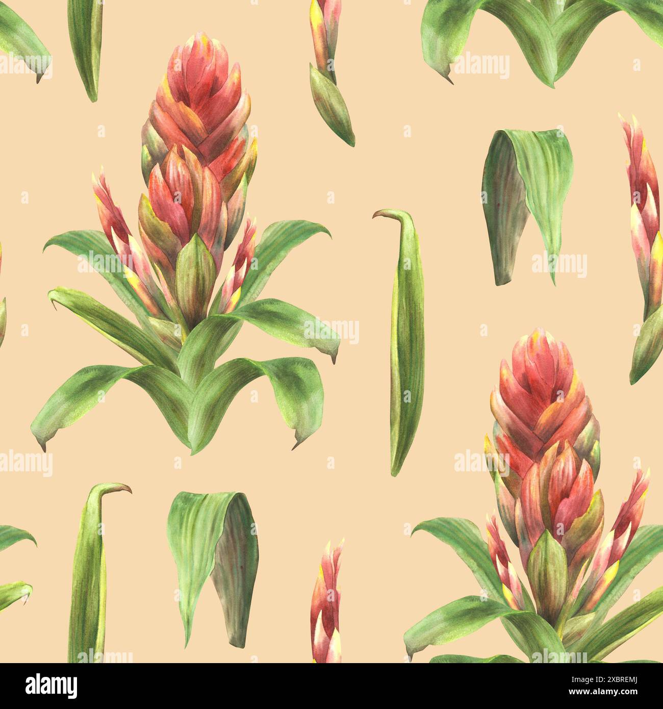 Tropical bromeliad flower seamless pattern, red buds with green leaves ...