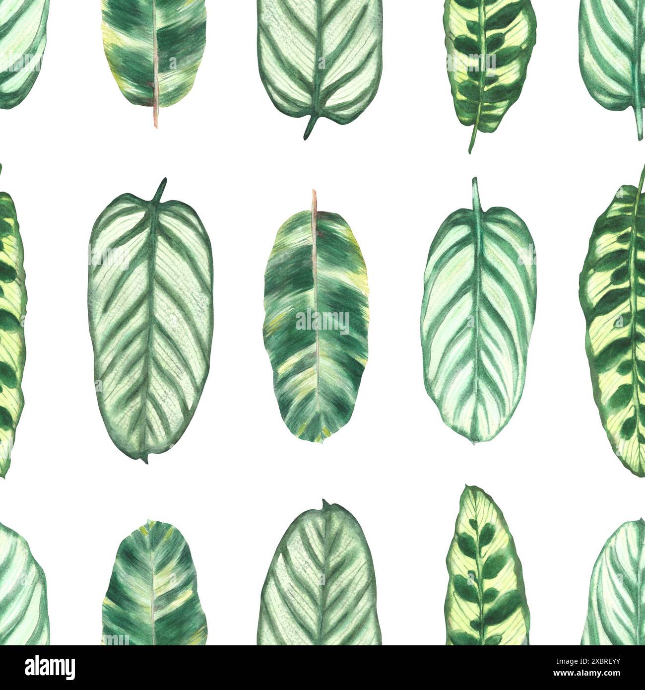 Tropical leaves seamless pattern, jungle green plants. Summer ...