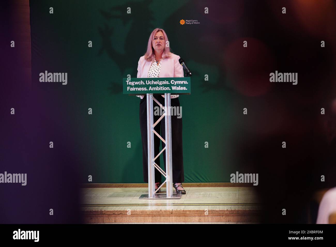 Plaid Cymru candidate for Dwyfor Meirionnydd, Liz Saville Roberts ...