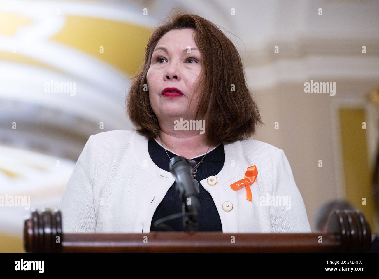 United States Senator Tammy Duckworth (Democrat of Illinois) speaks at ...