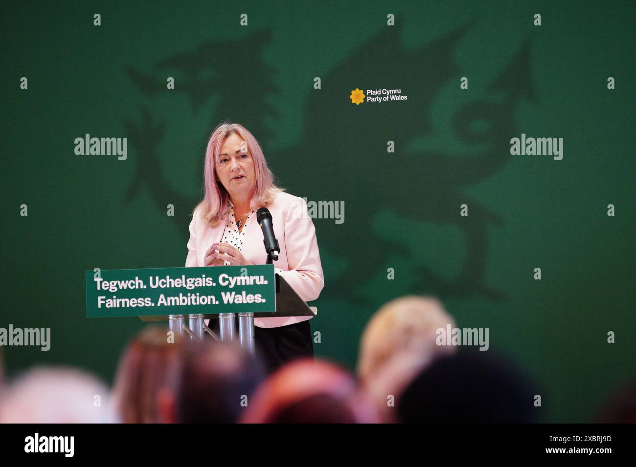 Plaid Cymru candidate for Dwyfor Meirionnydd, Liz Saville Roberts ...