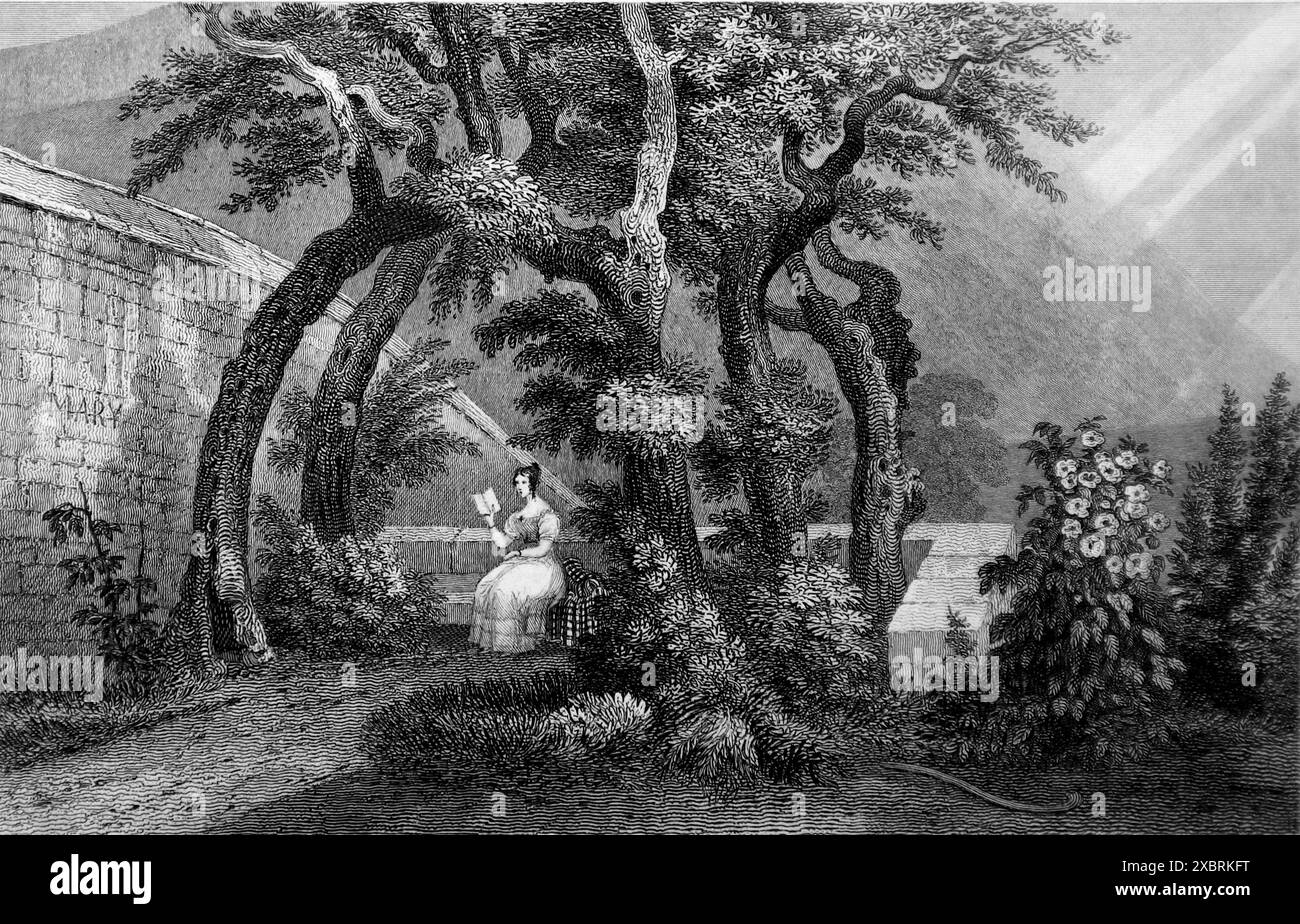 An Arbour in Regent Murray’s Garden, Edinburgh, or ‘Queen Mary’s Bower ...