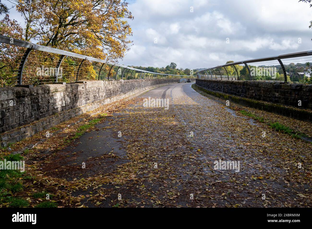Autumn leaves cover the bed of Hengoed Viaduct, South Wales, UK which ...