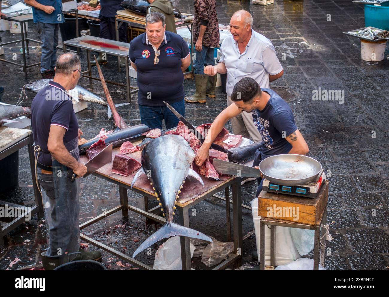 Preparing freshly caught tuna in the morning fish market, A' Piscaria ...