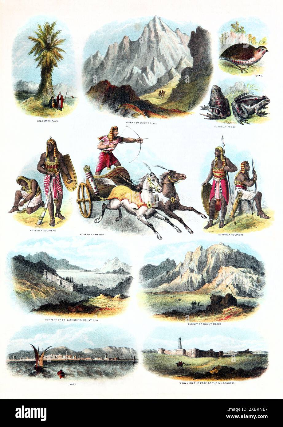 Page from Antique 19th Century Brown's Self-Interpreting Family Bible ...