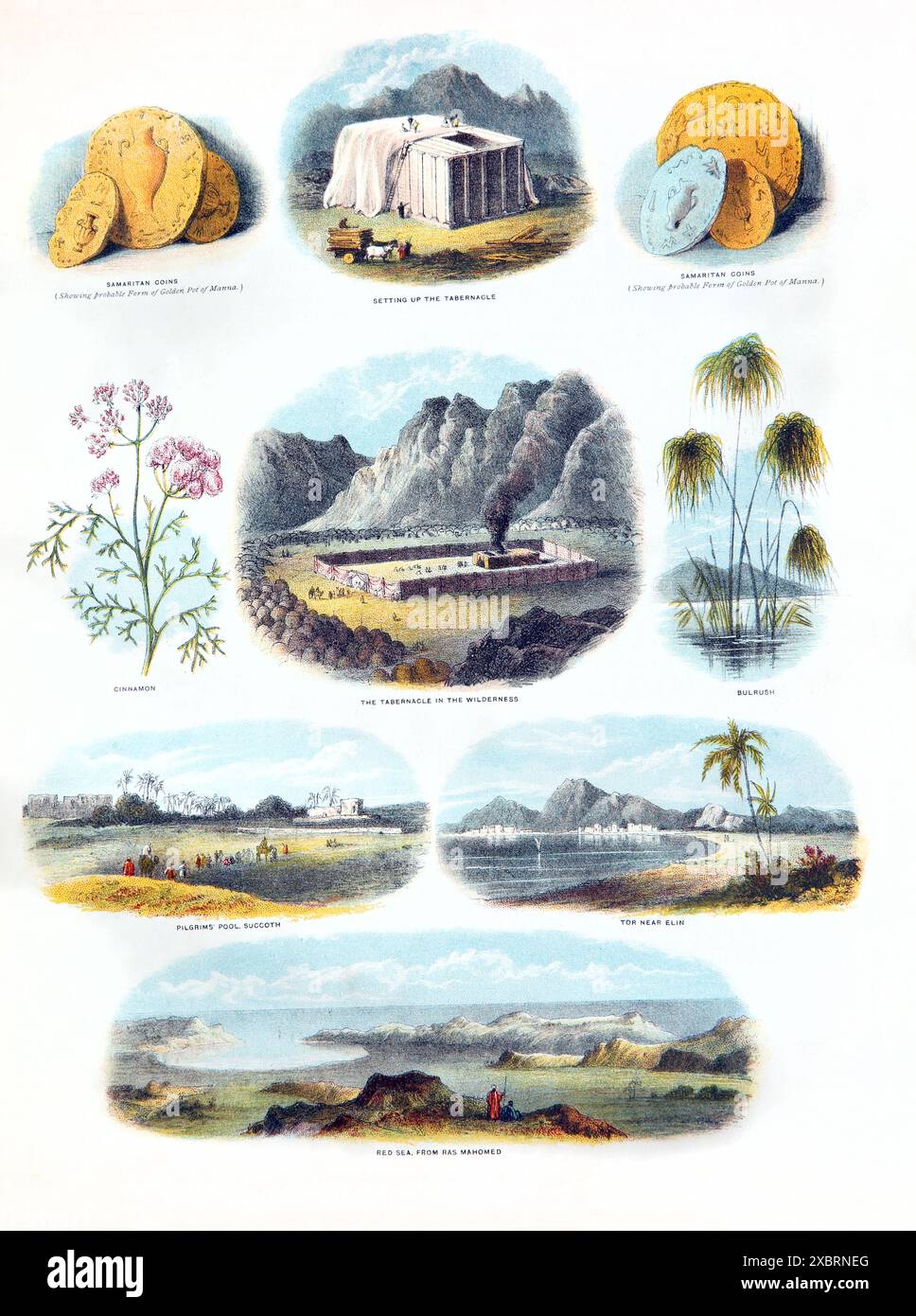 Page from Antique Bible with Illustrations of The Setting up of the ...