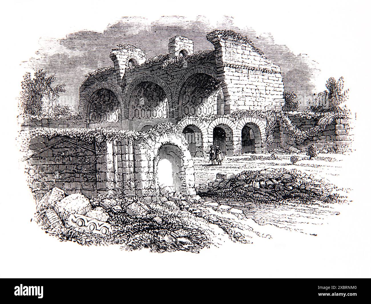Wood Engraving of the ruins of the Palace of Nero in Rome from Antique ...