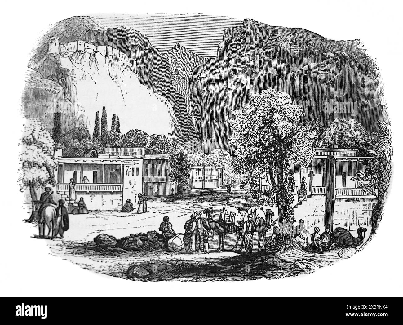 Cadmus Cut Out Stock Images & Pictures - Alamy