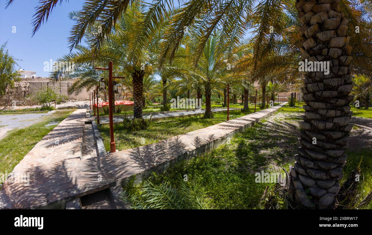 Photography of palm garden in Nizwah, Oman during spring sunny day ...