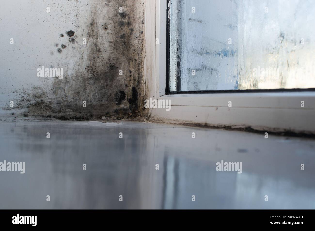 mold on plastic windows. wet window Stock Photo - Alamy