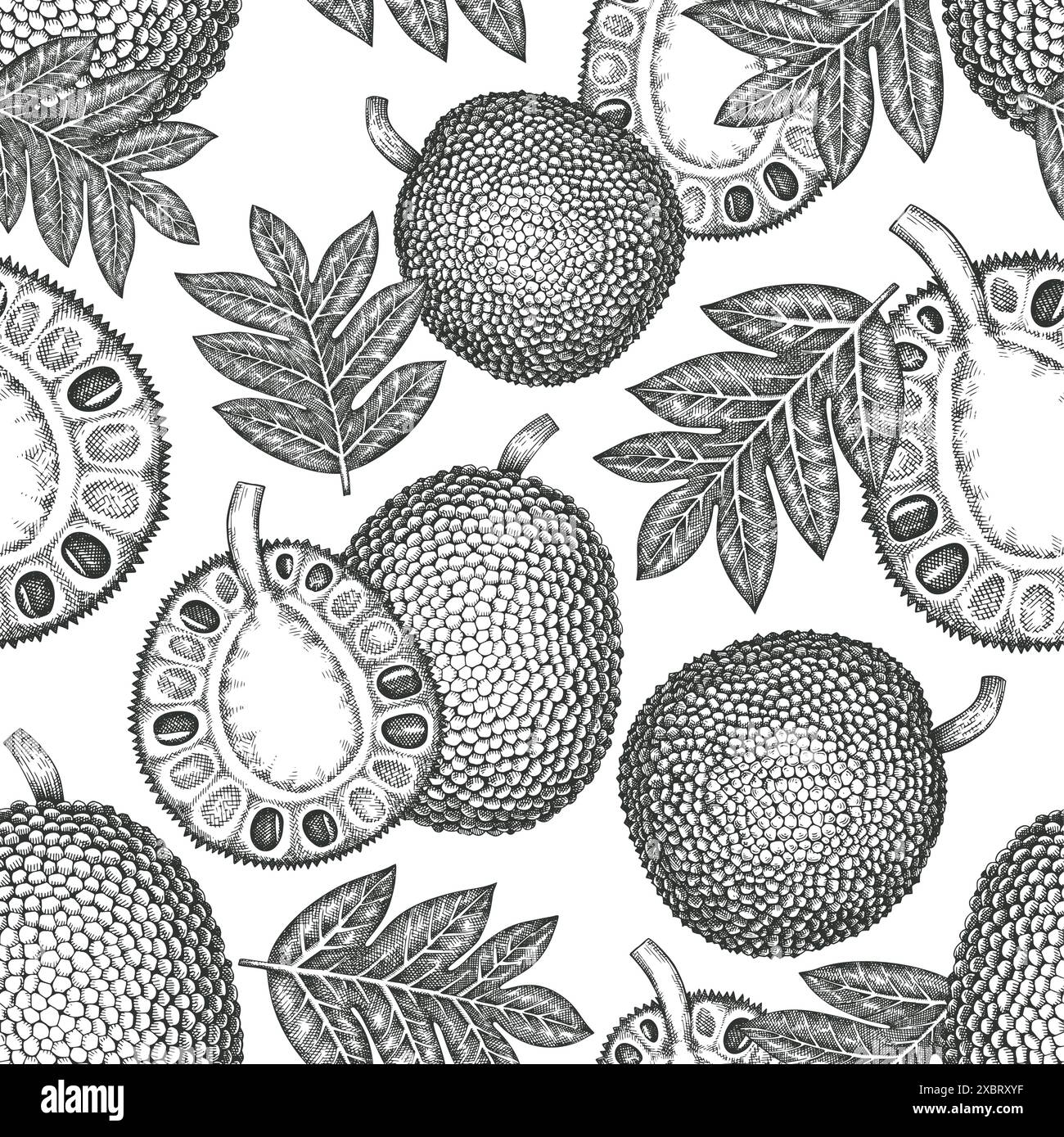Hand drawn sketch style jackfruit seamless pattern. Organic fresh fruit ...