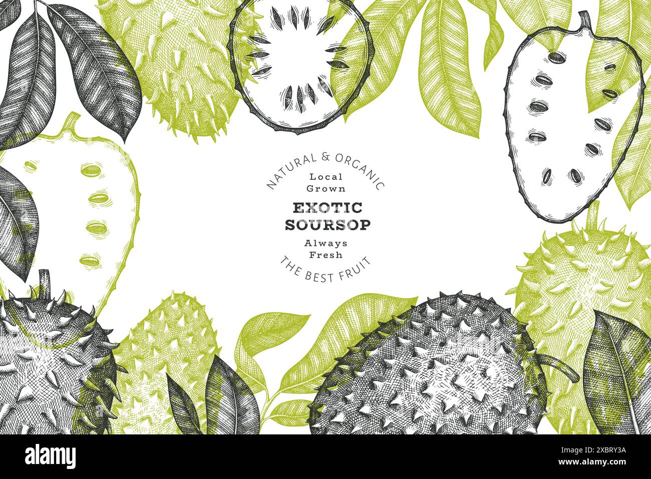 Hand drawn sketch style soursop fruit banner. Organic fresh fruit ...