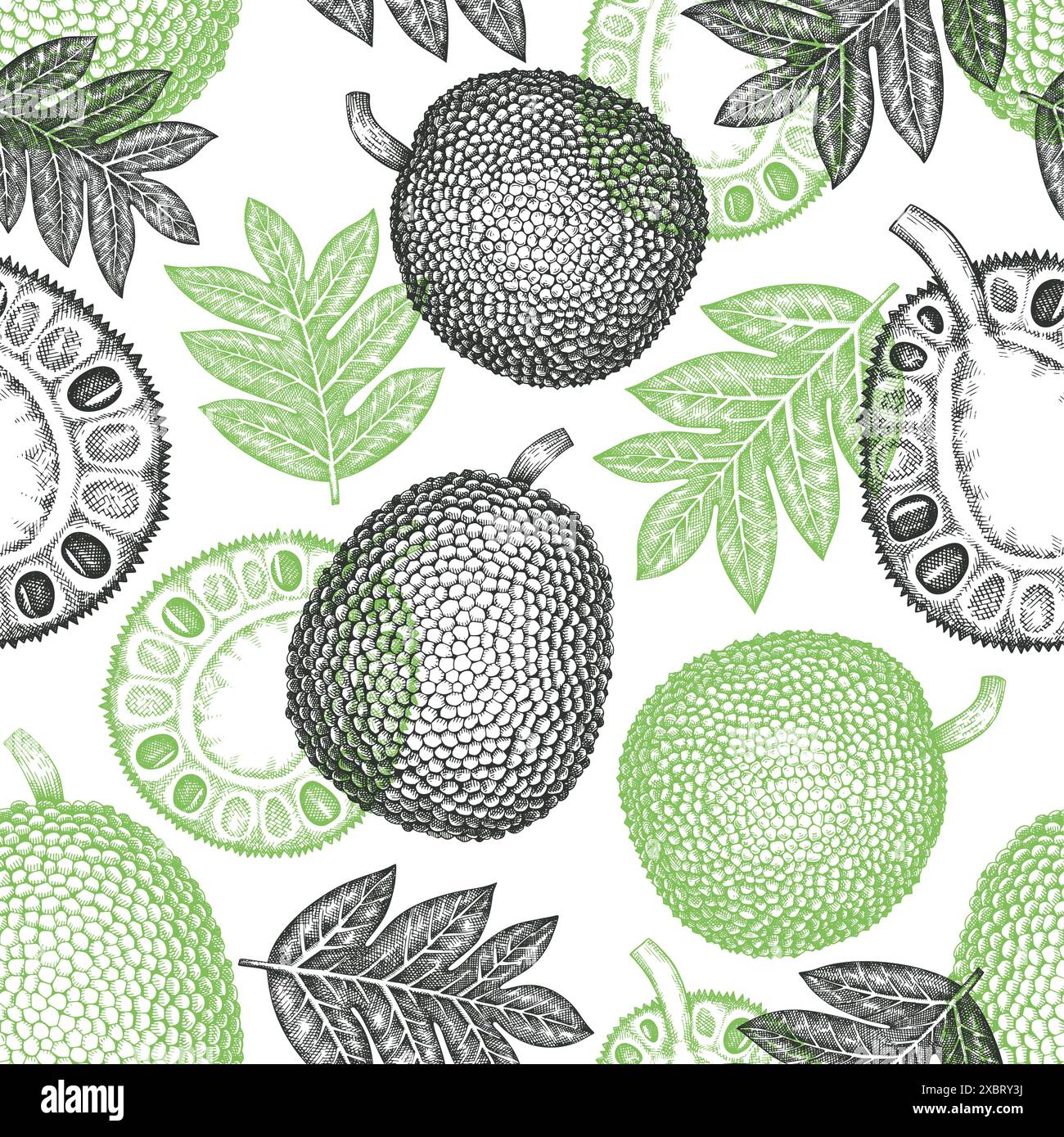 Hand drawn sketch style jackfruit seamless pattern. Organic fresh fruit ...