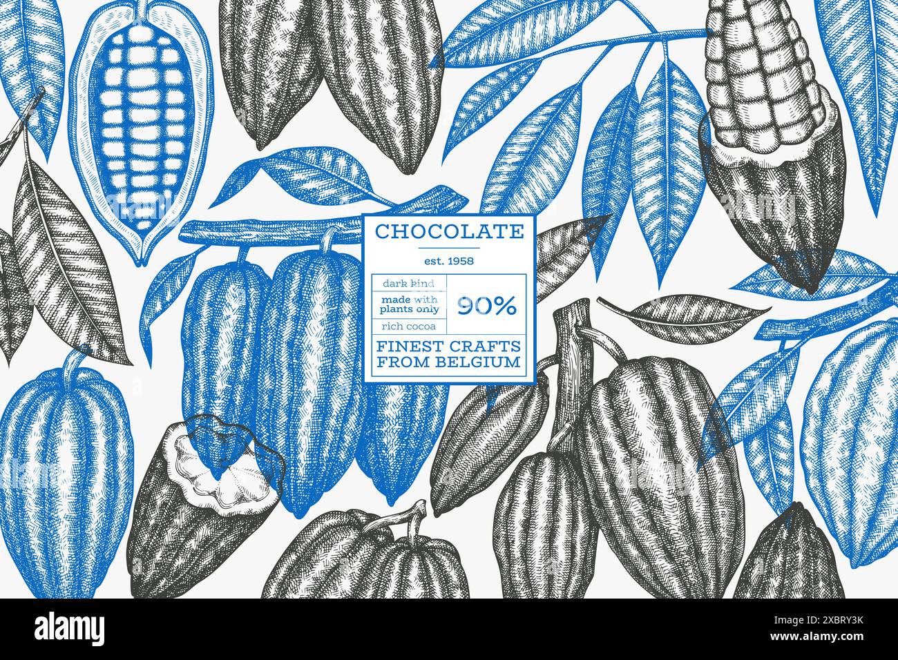 Cocoa design template. Chocolate cocoa beans background. Vector hand ...