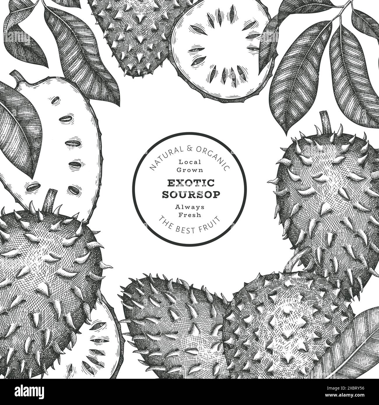 Hand drawn sketch style soursop fruit banner. Organic fresh fruit ...