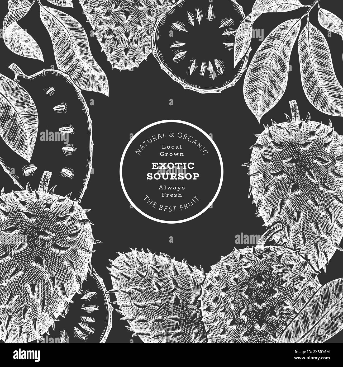 Hand drawn sketch style soursop fruit banner. Organic fresh fruit ...