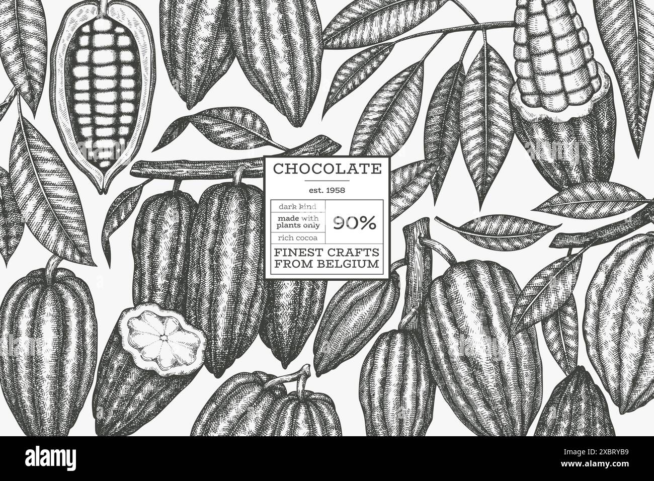 Cocoa design template. Chocolate cocoa beans background. Vector hand ...