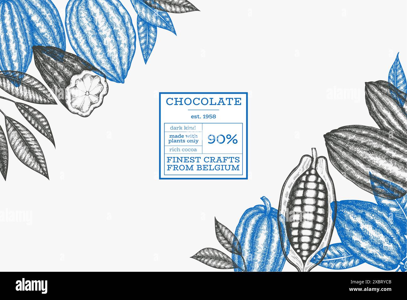 Cocoa design template. Chocolate cocoa beans background. Vector hand ...