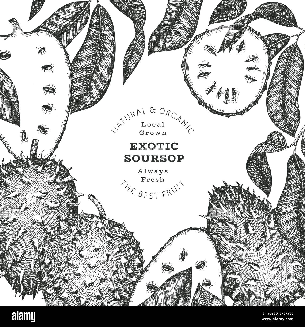 Hand drawn sketch style soursop fruit banner. Organic fresh fruit ...