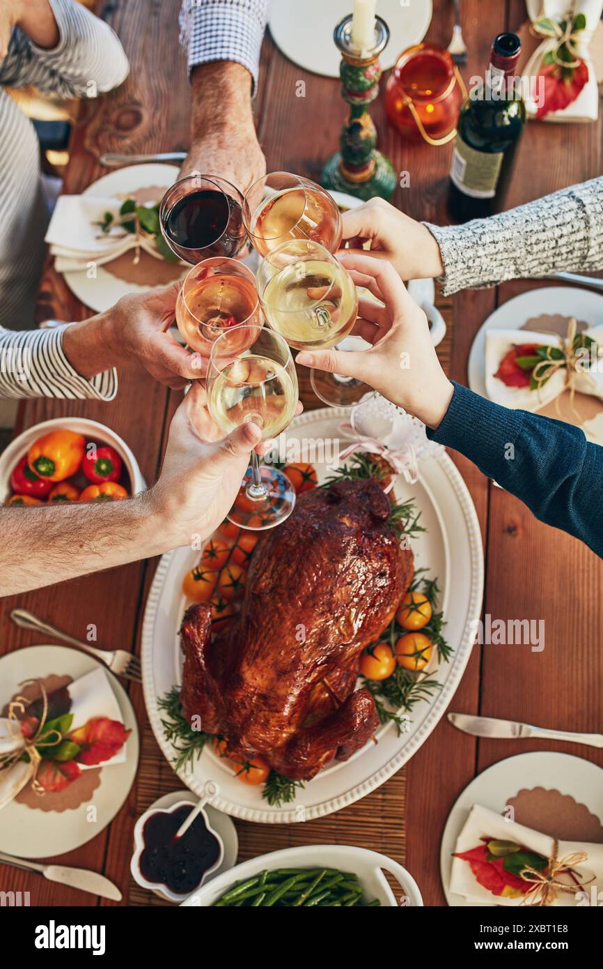 Hands, toast and turkey for thanksgiving, dinner and celebration ...