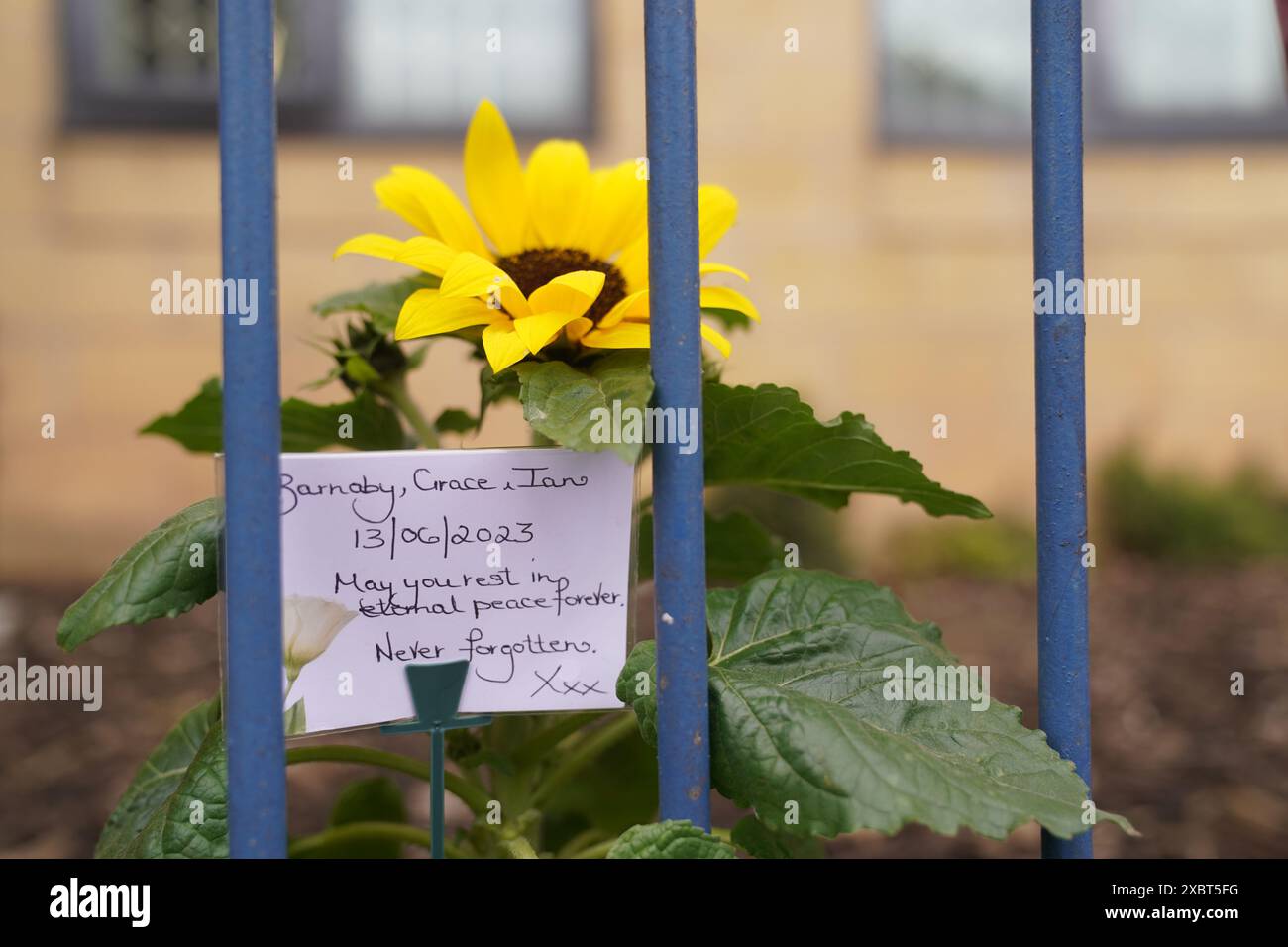 Flowers next to railings in Ilkeston Road in Nottingham on the first ...