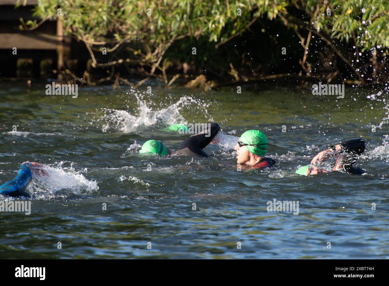 FILE PICS. 13th June, 2024. Triathletes swimming in the River Thames in ...