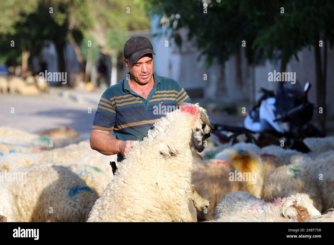(240613) -- BAGHDAD, June 13, 2024 (Xinhua) -- A man is pictured at a ...